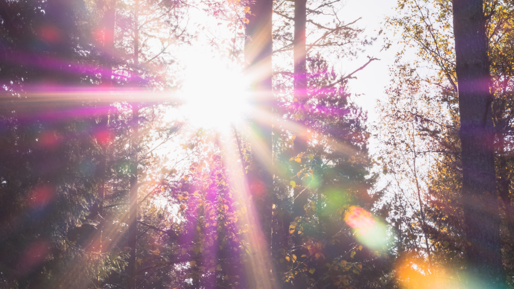 The Sun Inside Your Head » Wilderness Awareness School