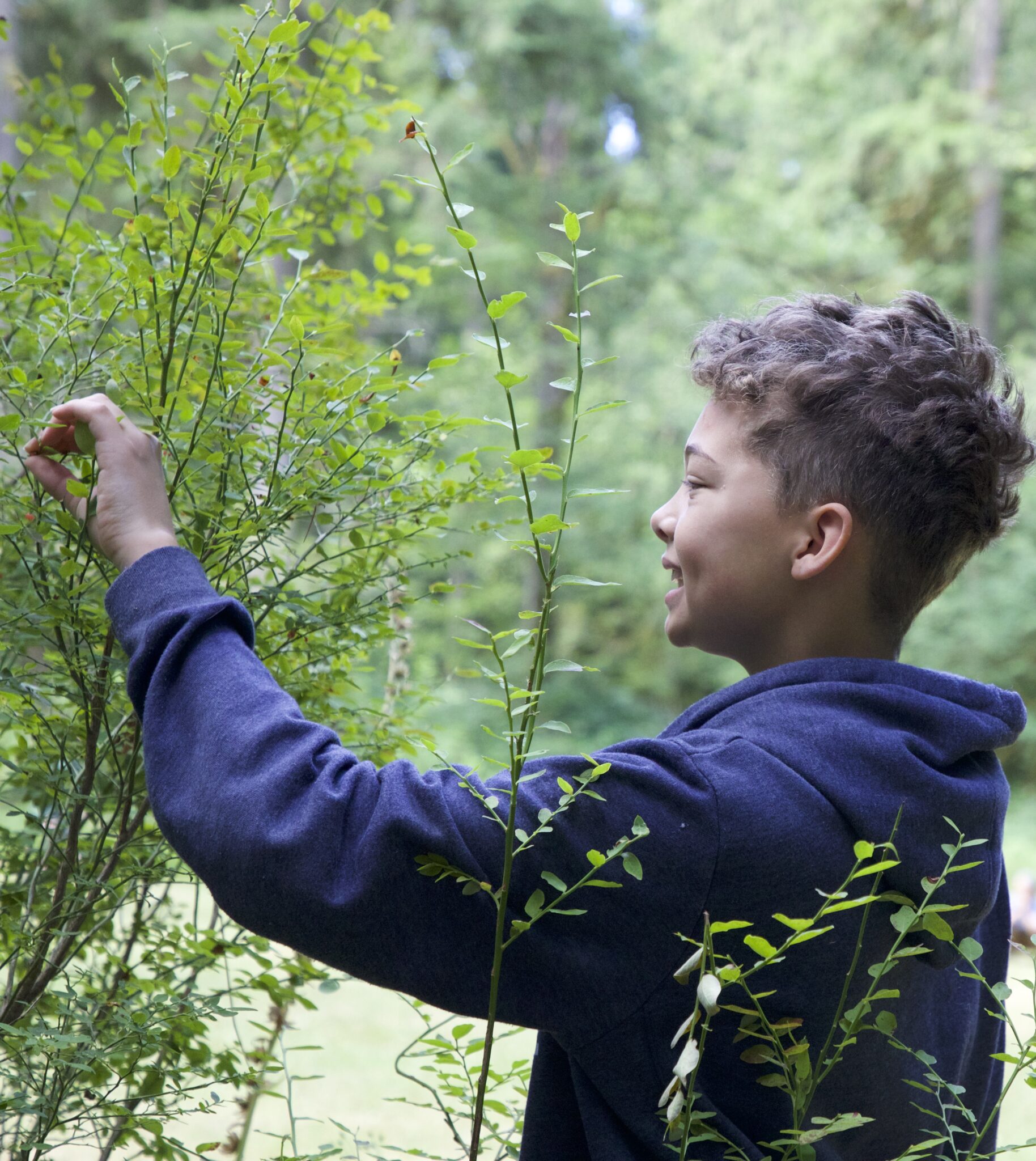 Survival Skills » Wilderness Awareness School