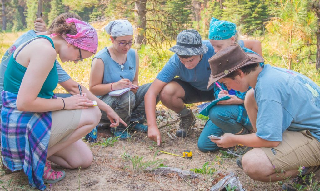 Wolf Tracking Expedition » Wilderness Awareness School