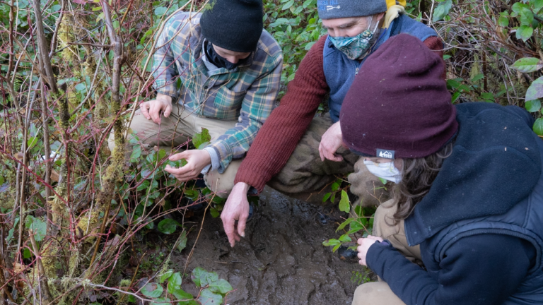 Fall Wildlife Tracking Basics » Wilderness Awareness School