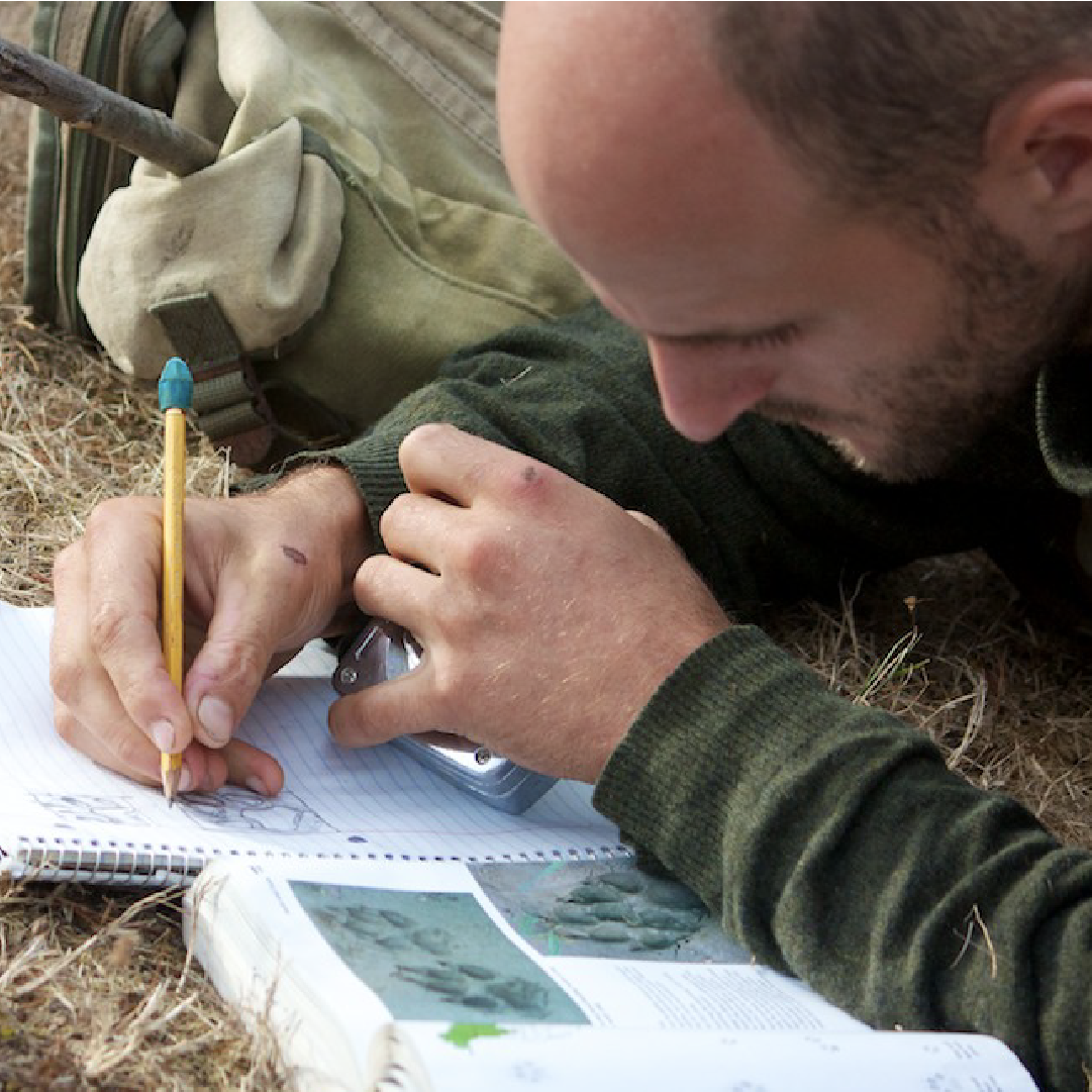 Wildlife Tracking Intensive » Wilderness Awareness School
