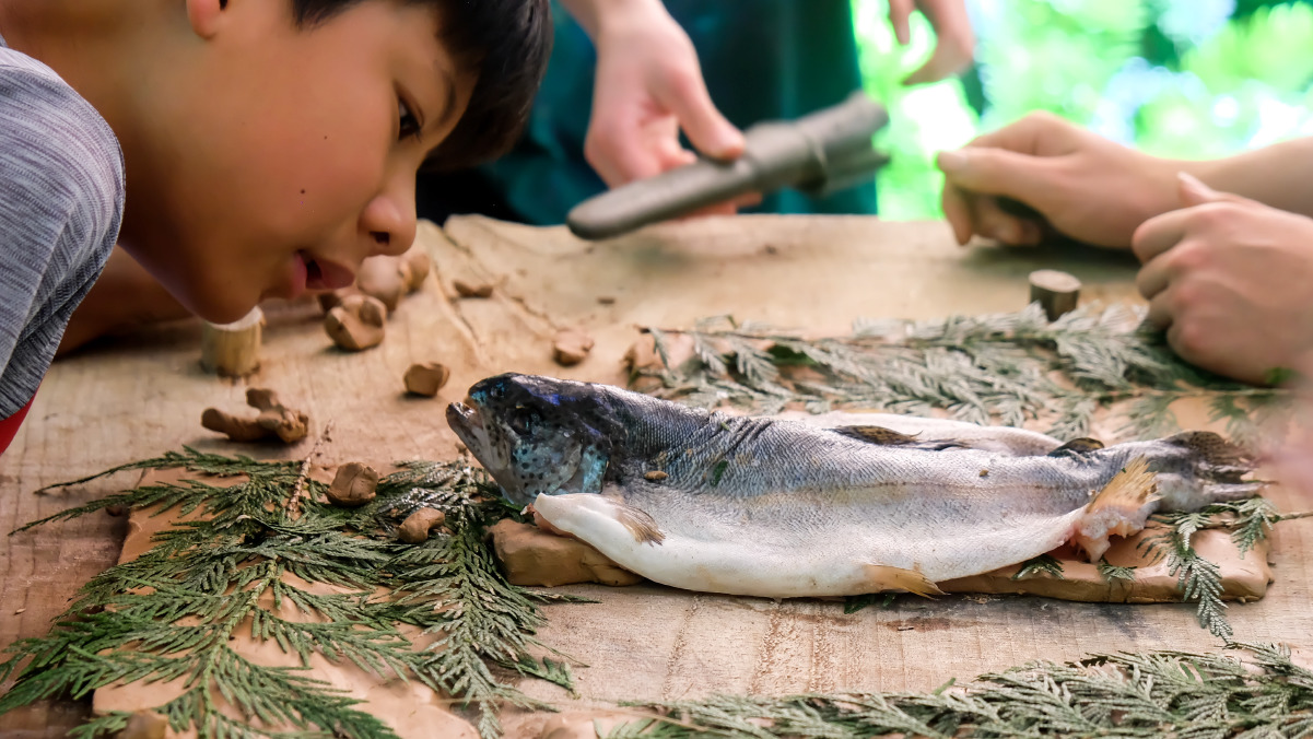 Castaway Survival Overnight » Wilderness Awareness School