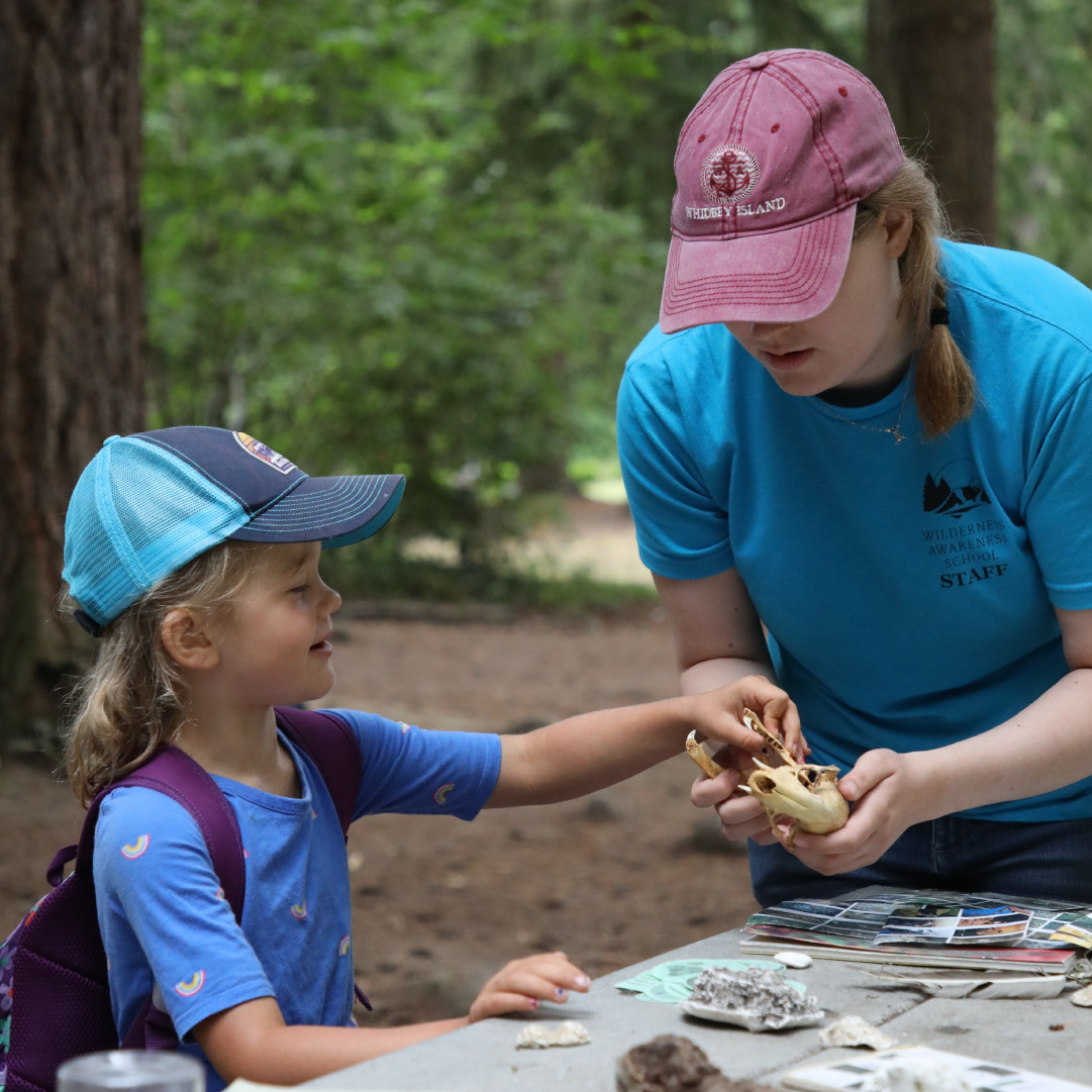 Summer Camp Instructor » Wilderness Awareness School