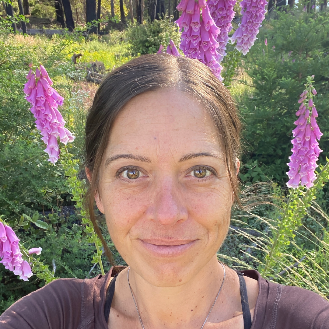 Tracking Our Roots in Nature with Jon Young » Wilderness Awareness School