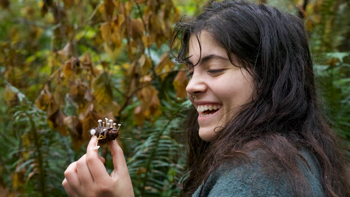 Intro to Mushrooms » Wilderness Awareness School