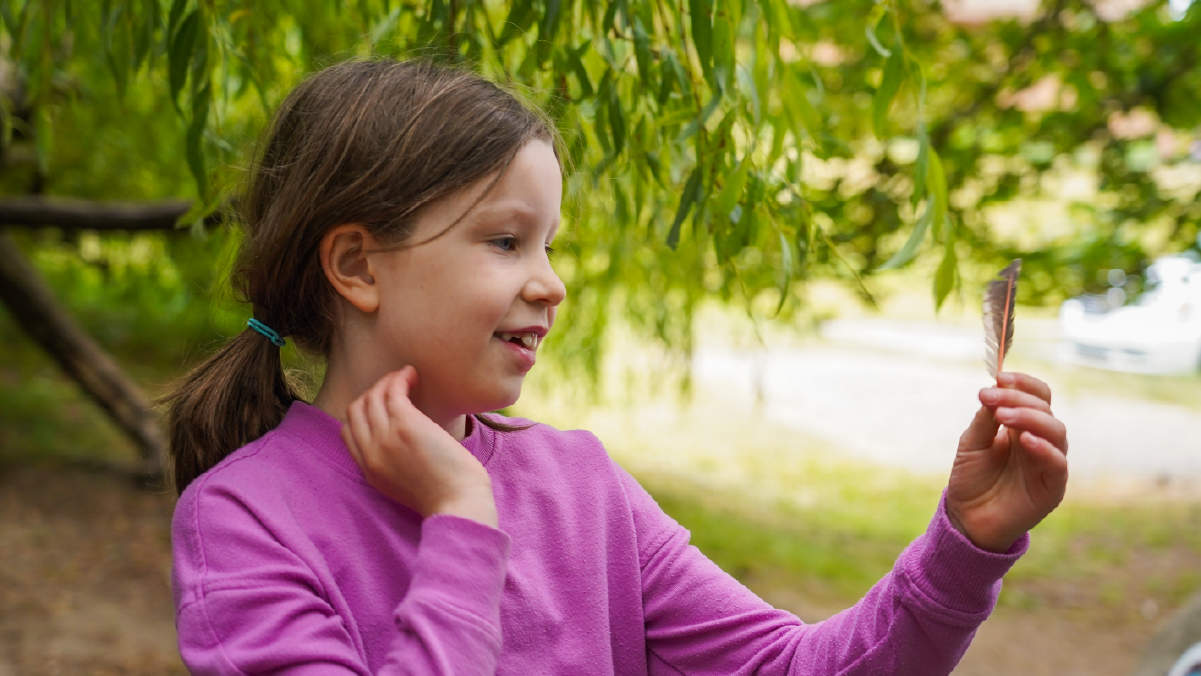 Nature Detective Day Camp » Wilderness Awareness School